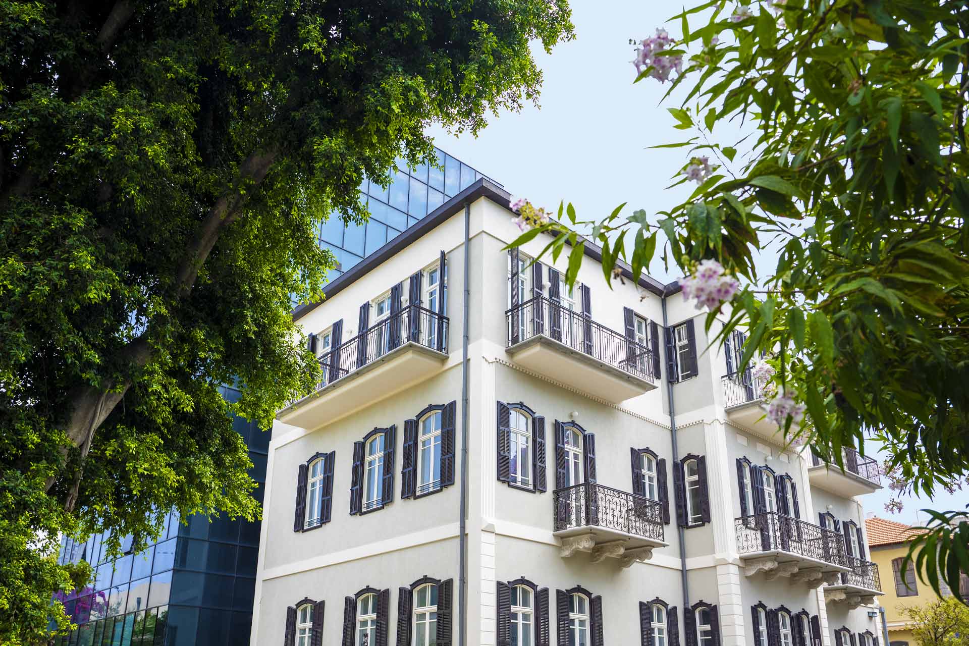 Tel Aviv icon reimagined by Adriana Schor - Sleeper