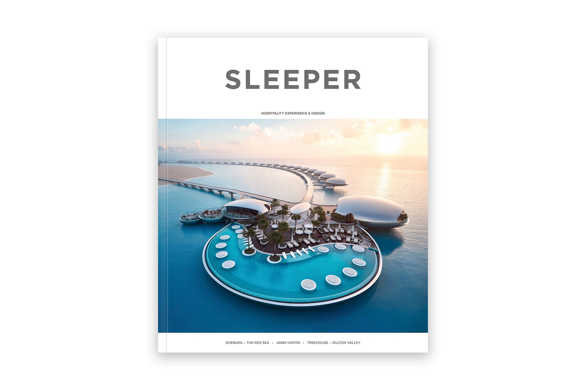 Issue 121 - Sleeper